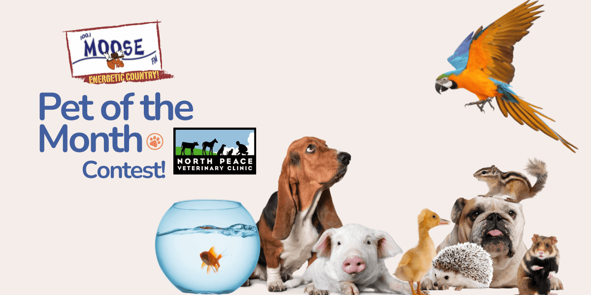 North Peace Veterinary Clinic Pet of the Month Contest! - Moose Media