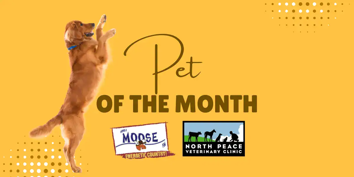 Pet of the Month | August 2023 - MooseMedia