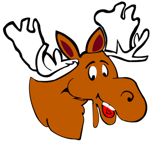 FSJ Metis Society Bingo - Moose Media