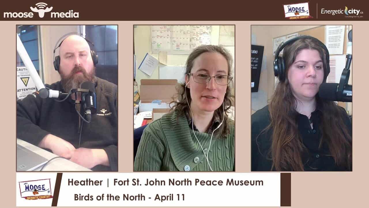 FSJ North Peace Museum - Kids Night: Birds of the North Peace - April 4 ...